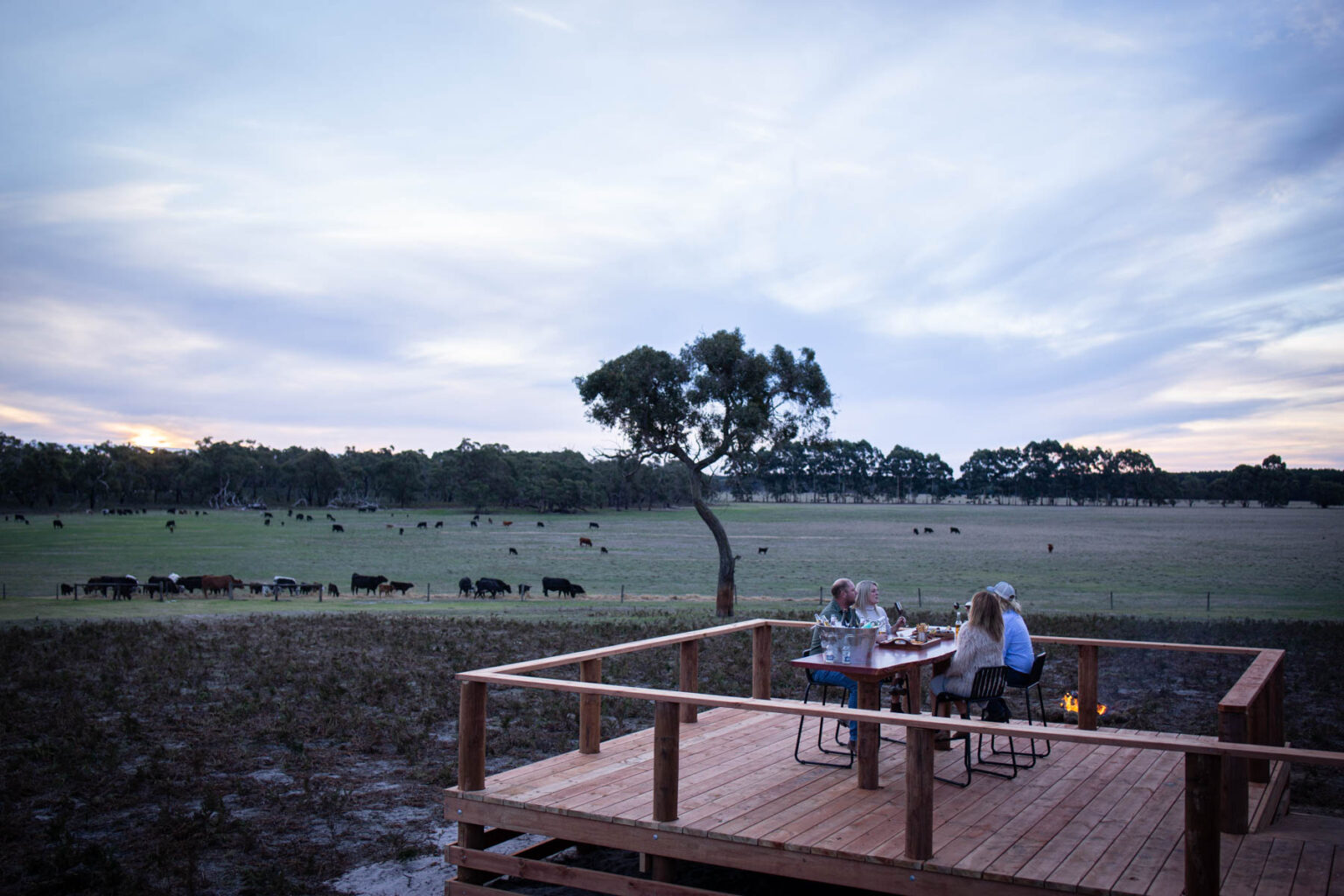 Warrawindi Farms | More Meat, More Money | Penola, South Australia